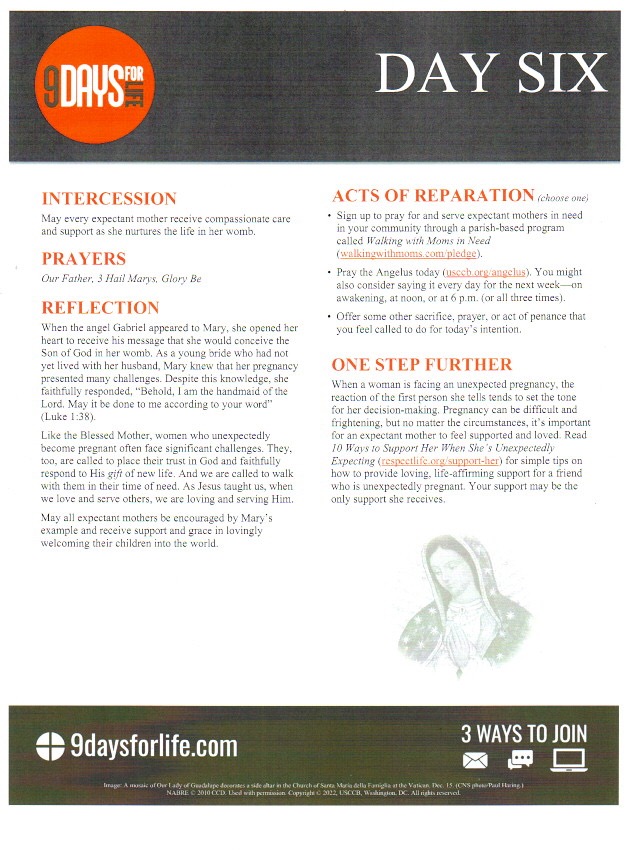 9 Days for Life Novena – Day 6 | Welcome to the Catholic Community of ...