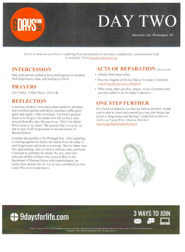 9 Days for Life Novena – Day 2 | Welcome to the Catholic Community of ...