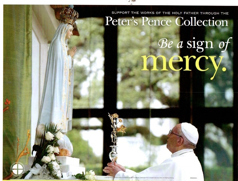 Please support the works of our Holy Father this Sunday, June 18 ...